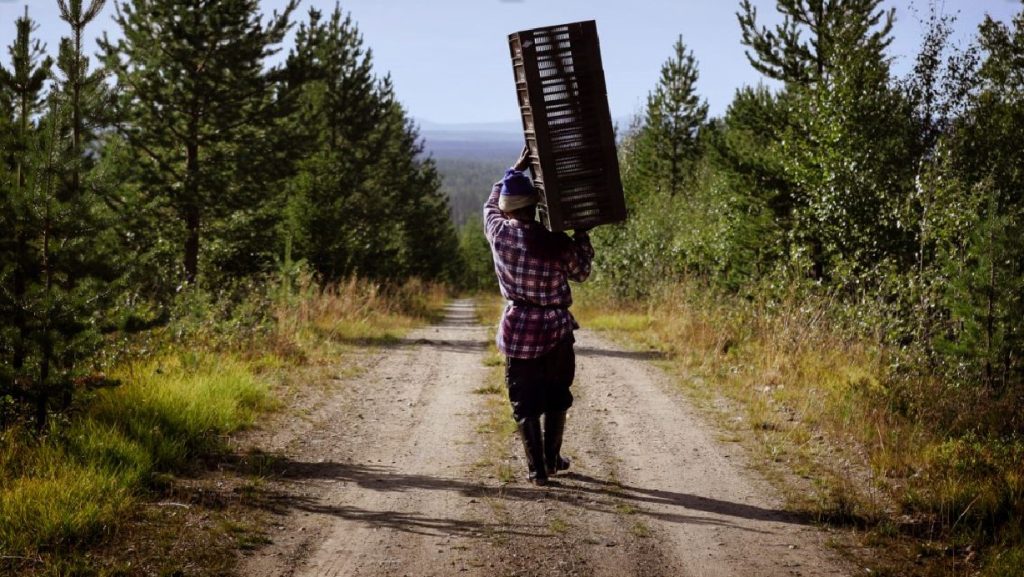 How do you stop the exploitation of foreign labour? - Nordic Labour Journal